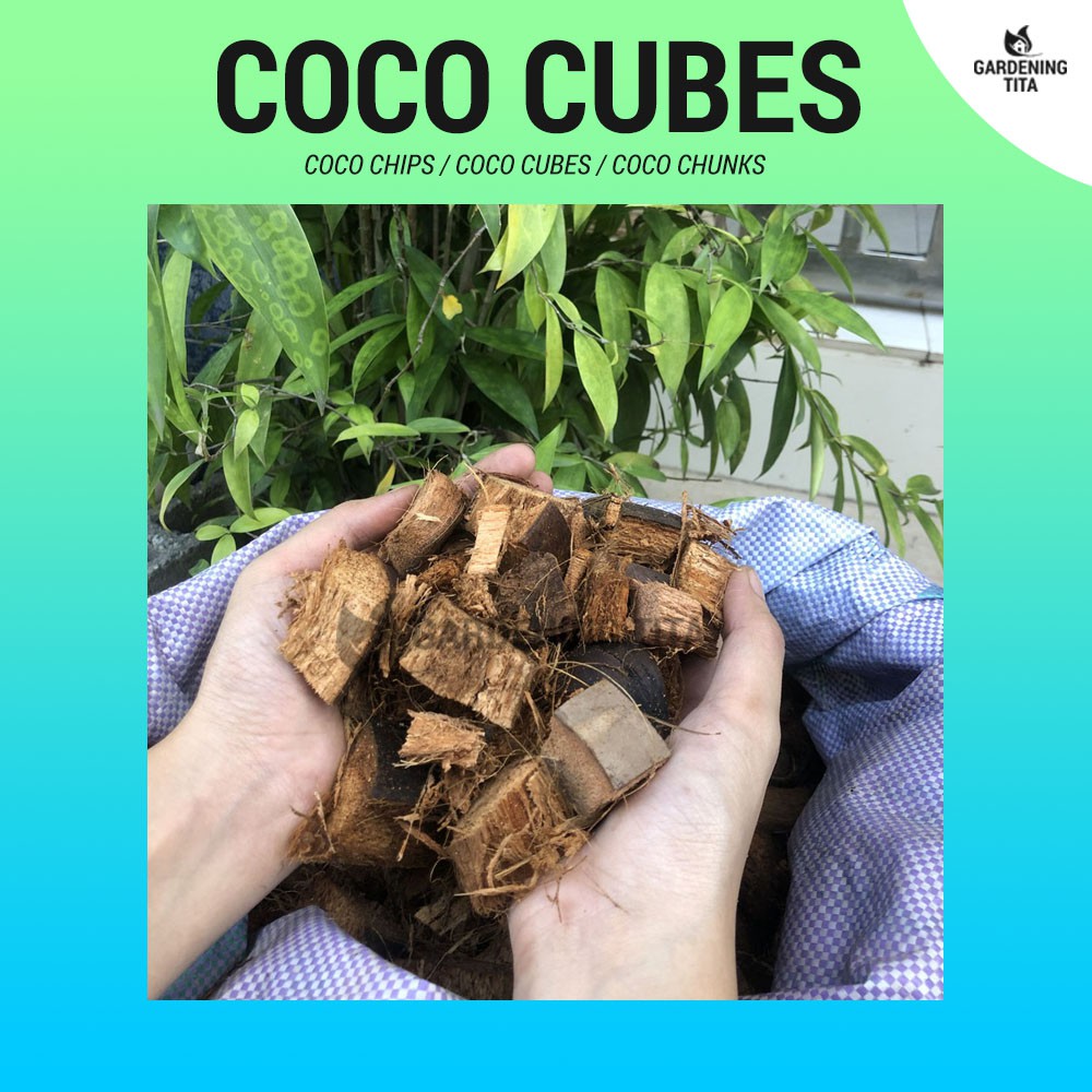 (1 KG) Coco Cubes / Coco Chips / Coco Chunks - For Gardening / Orchids ...