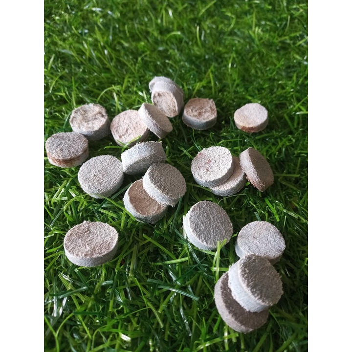 12pcs BUFFALO TIP/TAKO SA POOLAN BILYARAN PULPULAN/GAMIT SA BILYARAN ...
