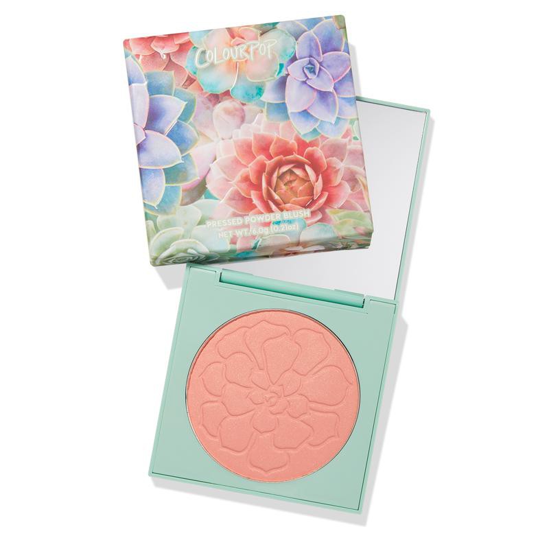 Garden Variety Colourpop Eyeshadow Palette Blush Desert Rose Night ...