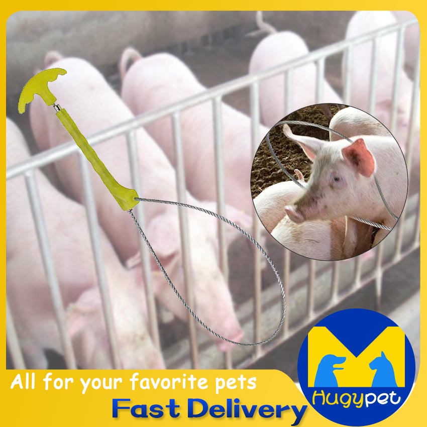 Pig Piglets Fixed Rope Trap Pig Squeezer Holder Catcher Livestock Snare ...