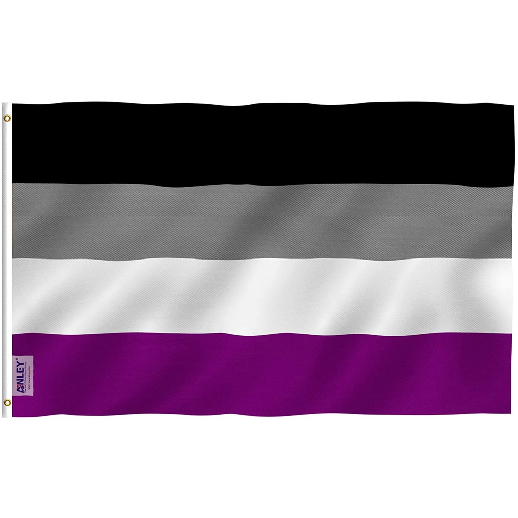 Anley 3x5 feet Asexual Pride Flag LGBT Banner | Shopee Philippines