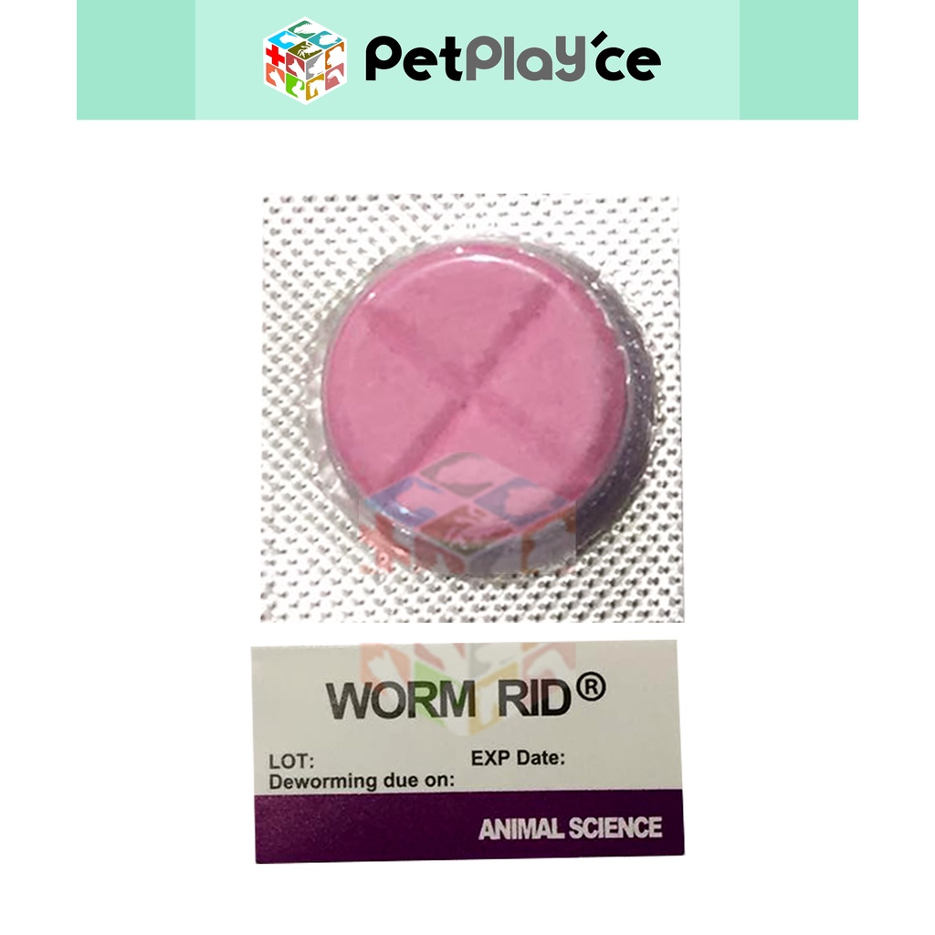 Vermifuge Worm Rid Proxantel Deworm Pyrantel Praziquantel Fenbendazole ...
