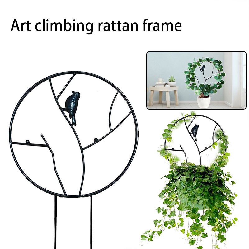 Climbing Support Frame Vine Climbing Frame Round Garden Trellis for ...