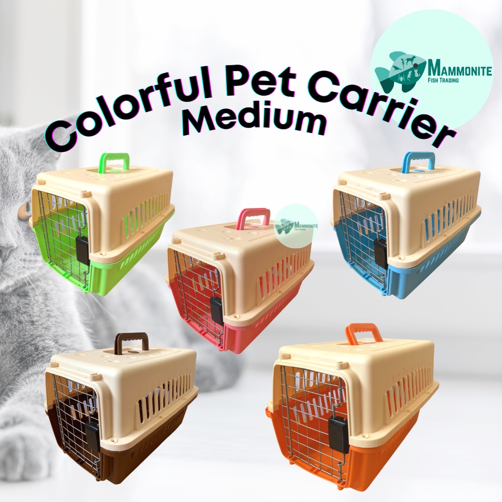 Colorful Pet Carrier Box MEDIUM Container Travel Crates For Dog Cat ...