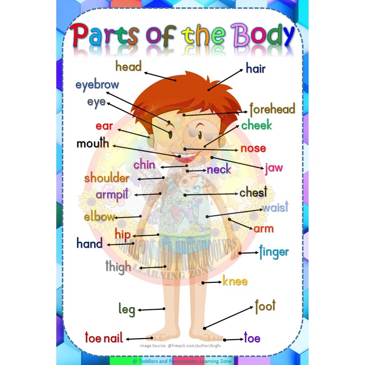 Parts of the BODY | English | Tagalog | A4 size | Reusable activities ...