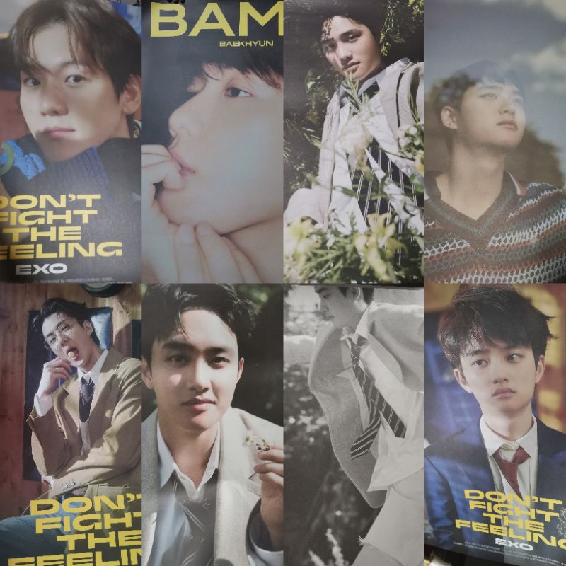 | exo | official posters w/ poster tube - exist, sehun, bambi | Shopee ...