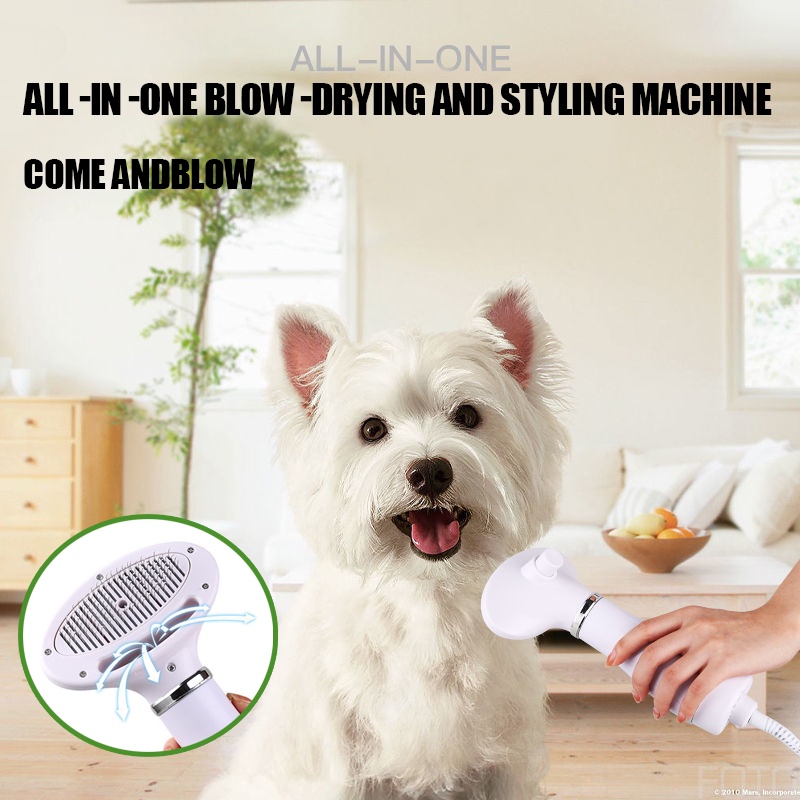 2 in 1 Portable Pet Dryer Dog Hair Dryer & Comb Pet Grooming Cat Hair ...