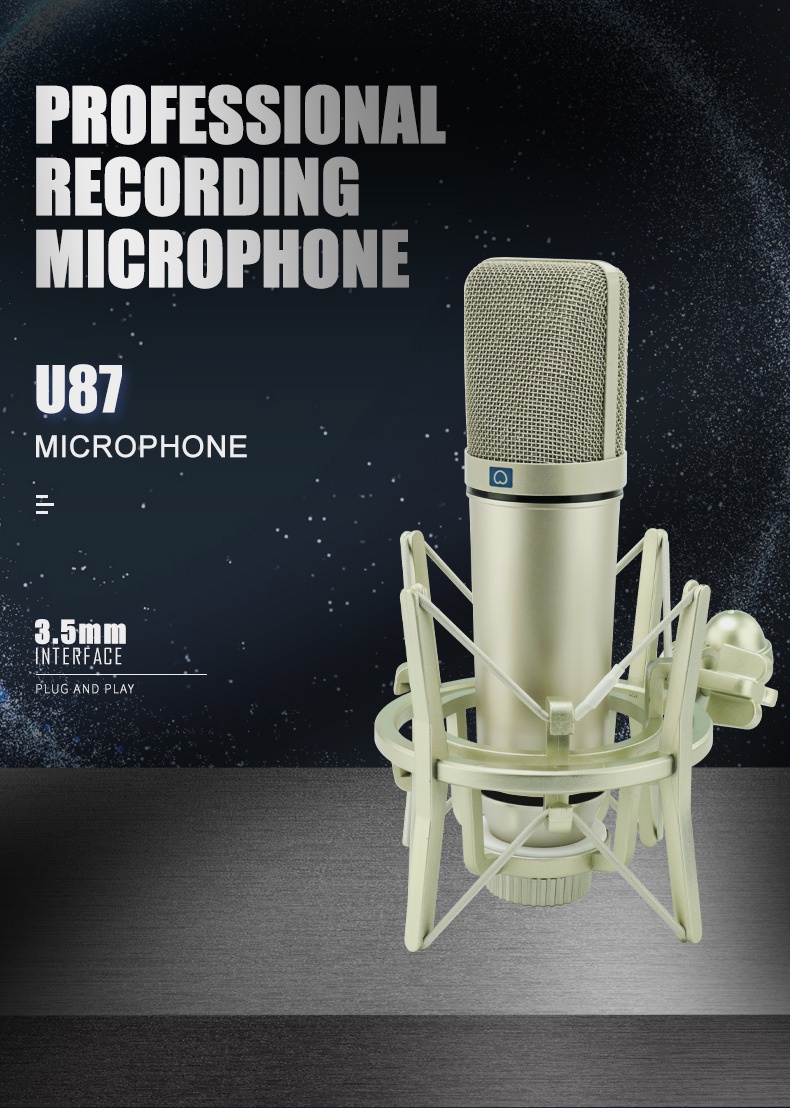 RAYHAYES Condenser microphone for professional studio Singer/microphone ...