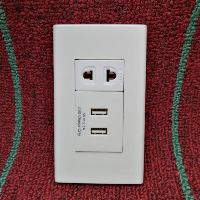 Omni USB Charger Outlet and Universal outlet with Plate WUSB | Shopee ...