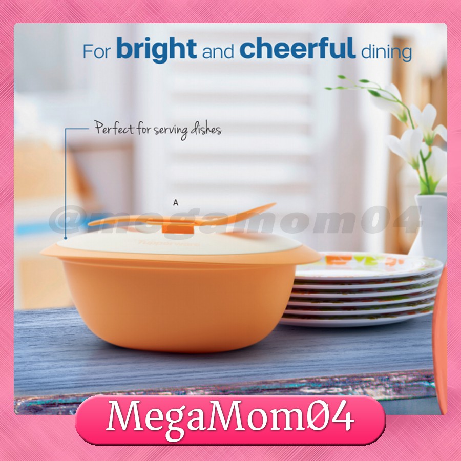 3L Rice Server Orange Blossom food server storage container serveware ...