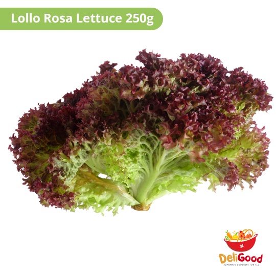 Lollo Rosso Lettuce 250 grams | Shopee Philippines