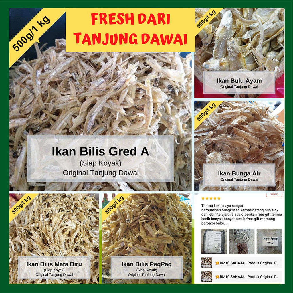 MATA 500g/1kg BILIS Fish Grade A & Blue Eyes Chicken Feather Fish ...