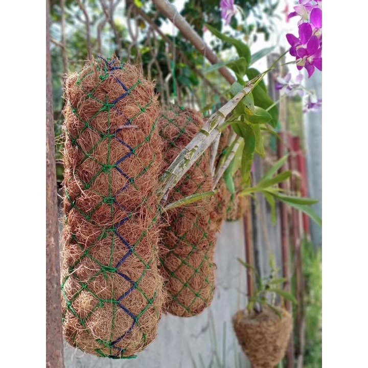 40cm Coco Wattles for orchids High Quality Coconut Coir Coco Wattles ...