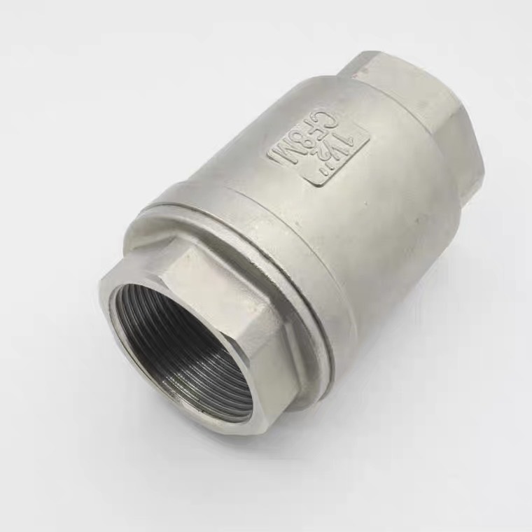 Spring Check valve Stainless Steel 304 Size 1/2''-2'' (Spring Stainless ...