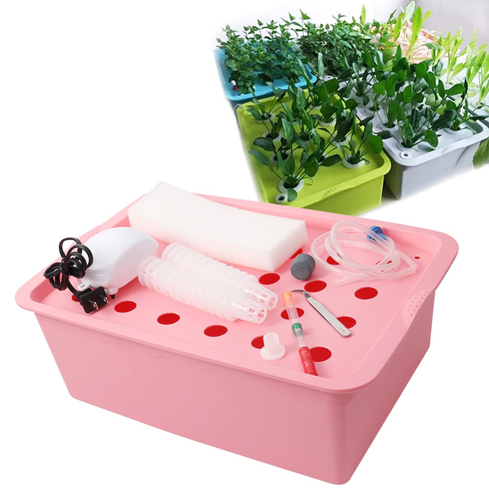24 Holes Hydroponic Box 1 Set with Oxygen Pump Indoor Garden Nursery ...
