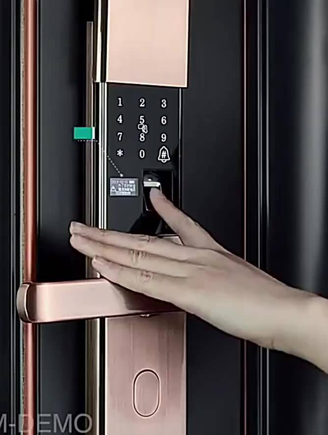 Smart Lock Fingerprint/IC card/Passcode/Keyboard Remote Electronic ...