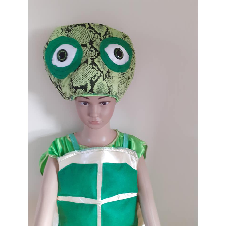 Sea Turtle book week Kids Costume | Shopee Philippines
