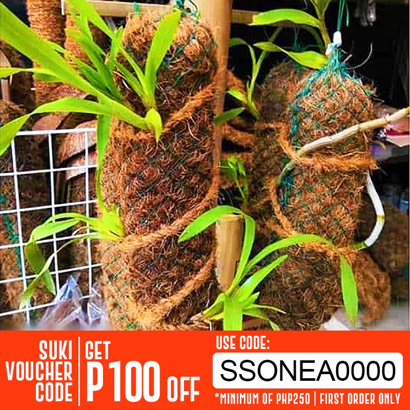 Coco Log / Wattle For Orchids Made by Local Producers - Coco Peat and ...