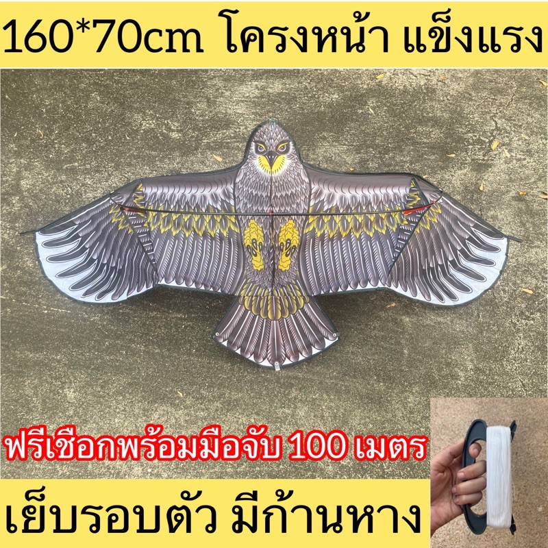 160 * 70 Kites With Handles 100m Long Ropes Kids Giant Organic Bird ...