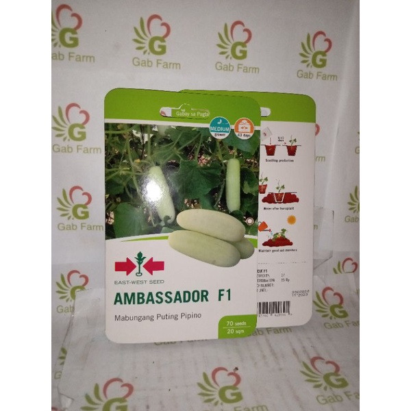 East-WestSeed Ambassador F1 Pipino/Cucumber (Vegetable Seed Pack ...