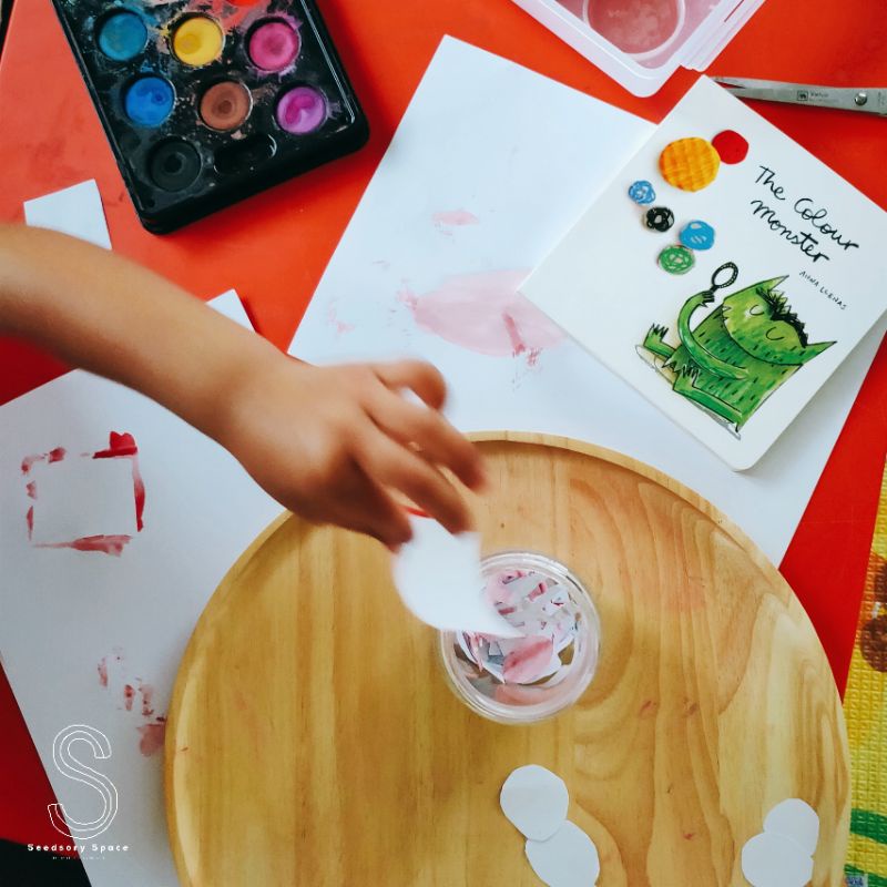 English Book The colour monster [Anna Llenas] | Shopee Philippines