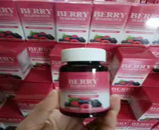 Elicare Berry Harmony - Balance Female hormones tablet SAFE & EFFECTIVE ...