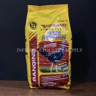 Shop thunderbirds for Sale on Shopee Philippines