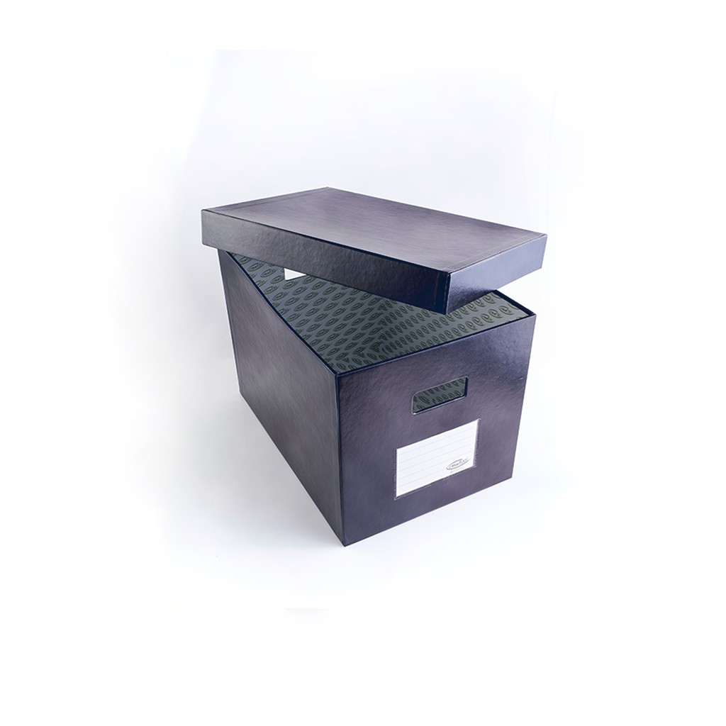 Starfile Storage Box - ( Arlin/ Buffalo Skin) | Shopee Philippines