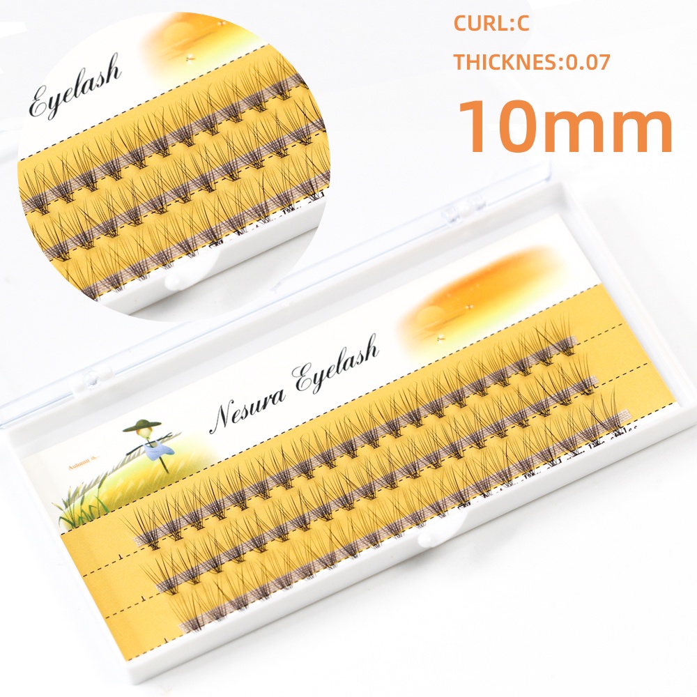 1 box of 60 bundles of 10D Eyelash extension Natural soft beauty ...