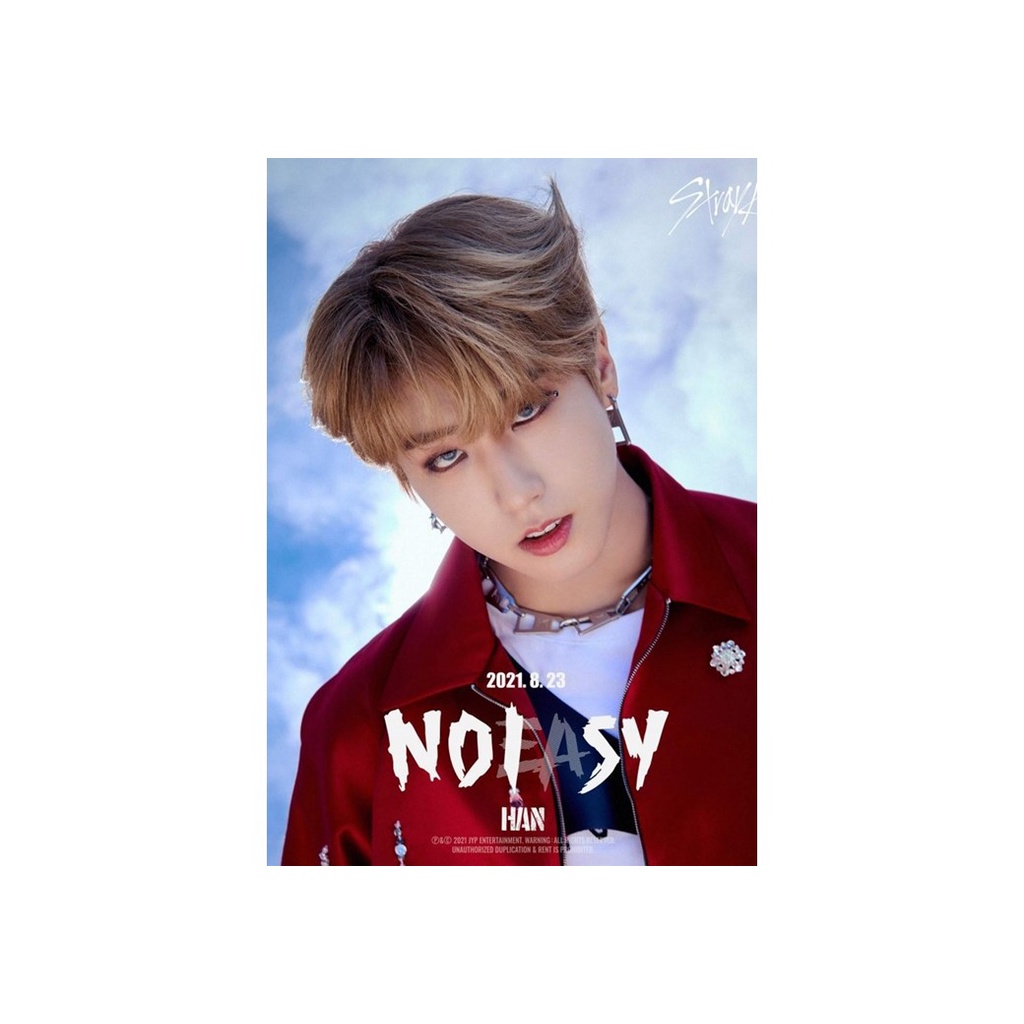 Stray Kids Posters / Stray Kids No Easy Posters / Stray Kids Poster ...