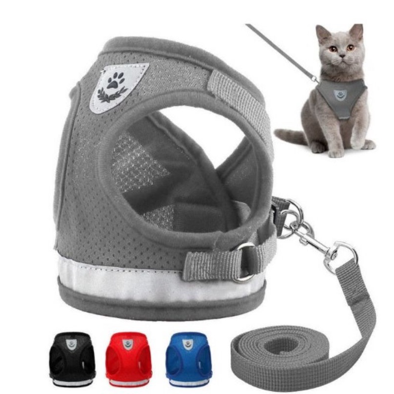 Small Dog Cat Animal Leash | Shopee Philippines