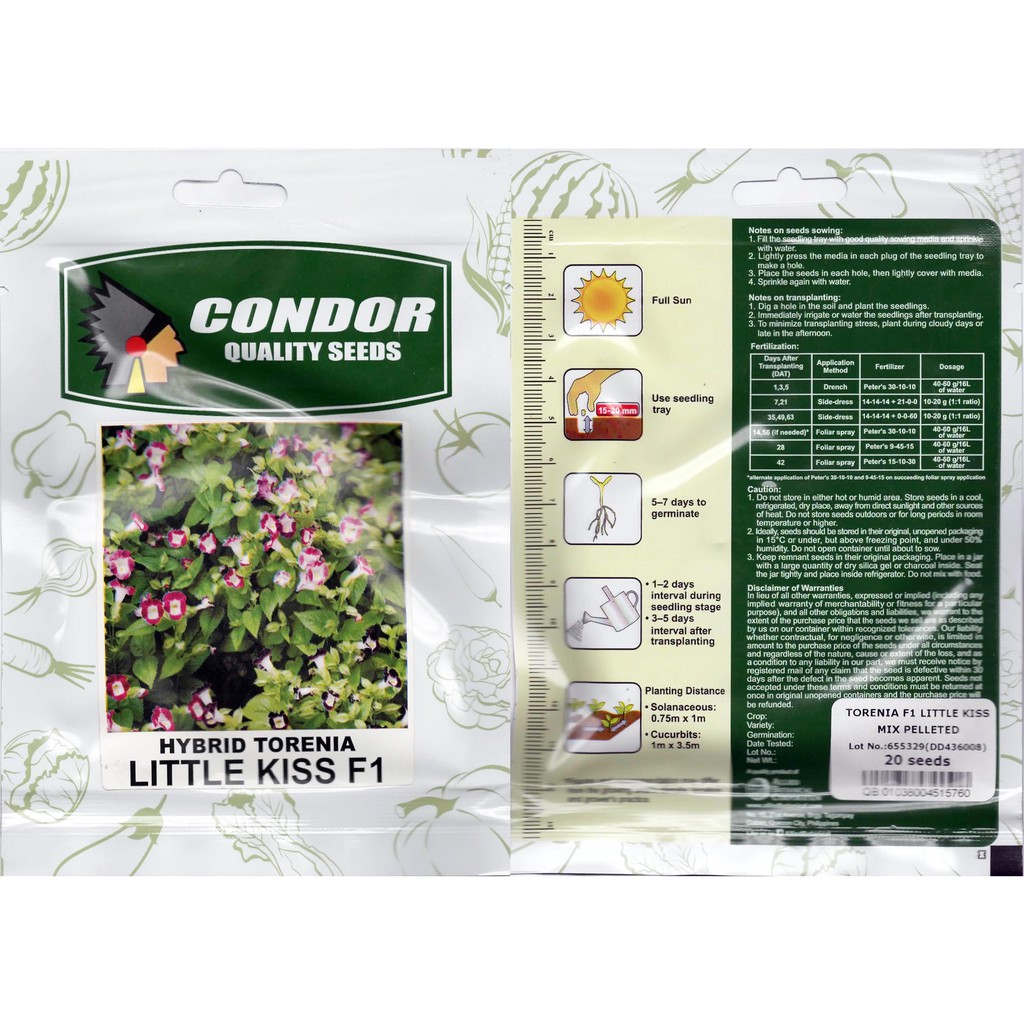 Condor Flower Seeds Torenia Little kiss 20 seeds GDSFPH_S4 | Shopee ...