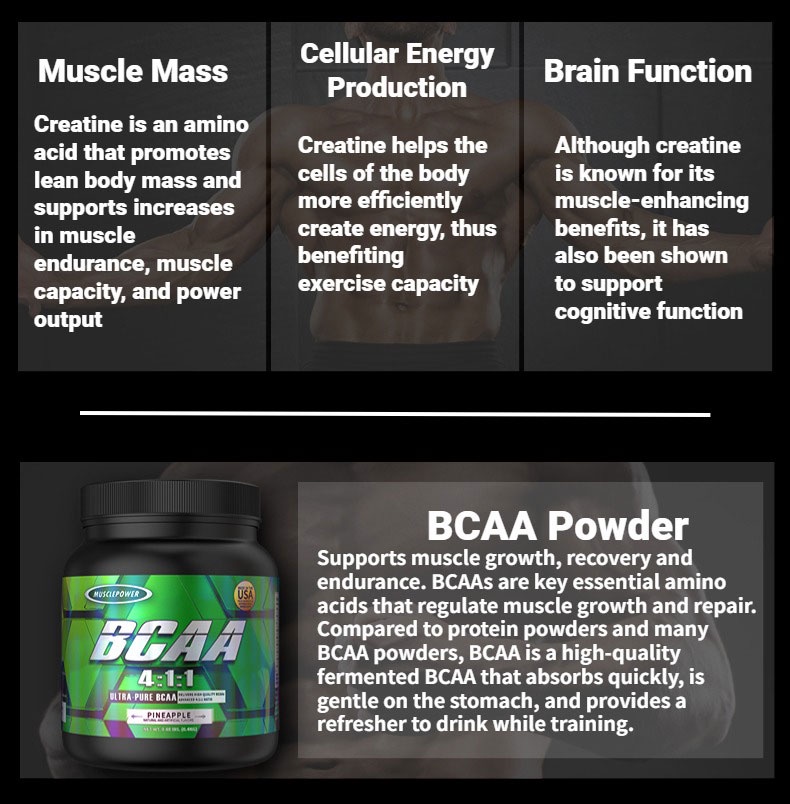 MUSCLEPOWER Creatine 400g - Supplement with Creatine Monohydrate ...