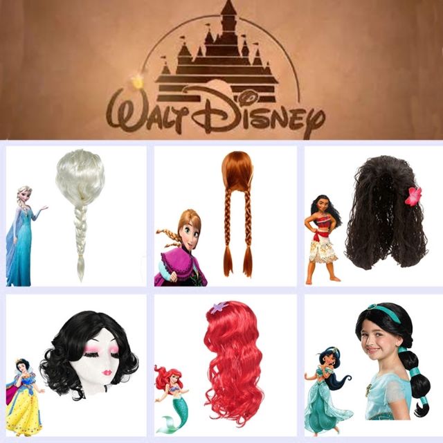 Disney Princess hair wigs costume cosplay princess theme | Shopee ...