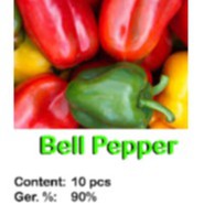 Vegetables Seeds kamatis talong pechay ampalaya sigarilyas upo lettuce ...