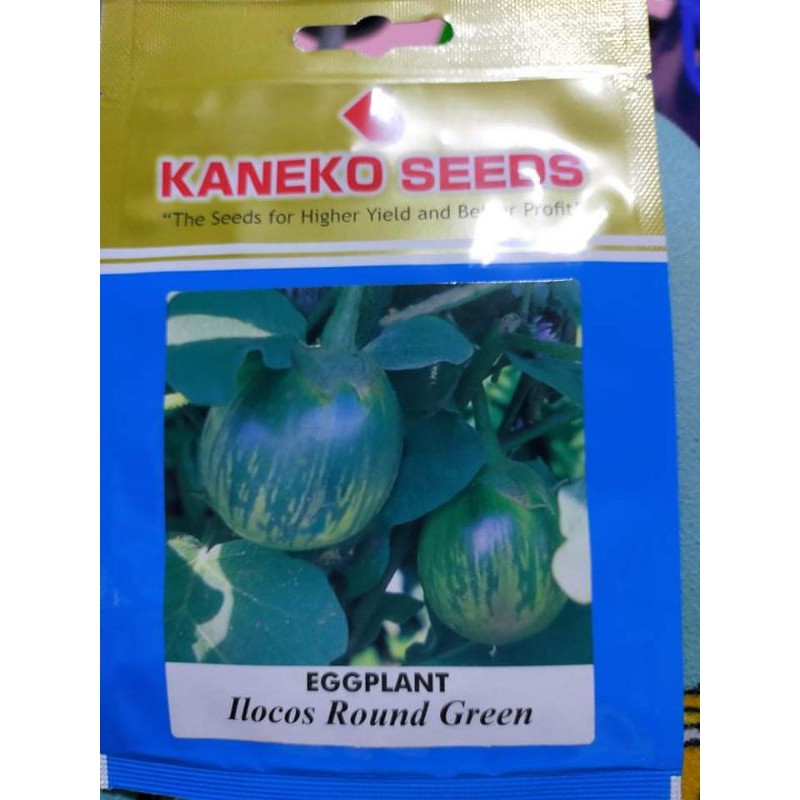 KANEKO ILOCOS ROUND GREEN TALONG | Shopee Philippines