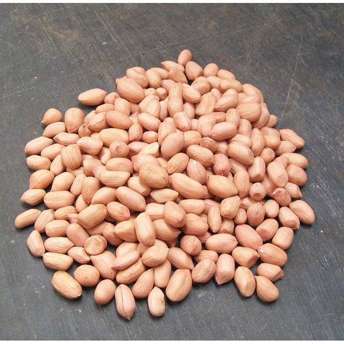 Peanut Skin (500 Grams) | Shopee Philippines