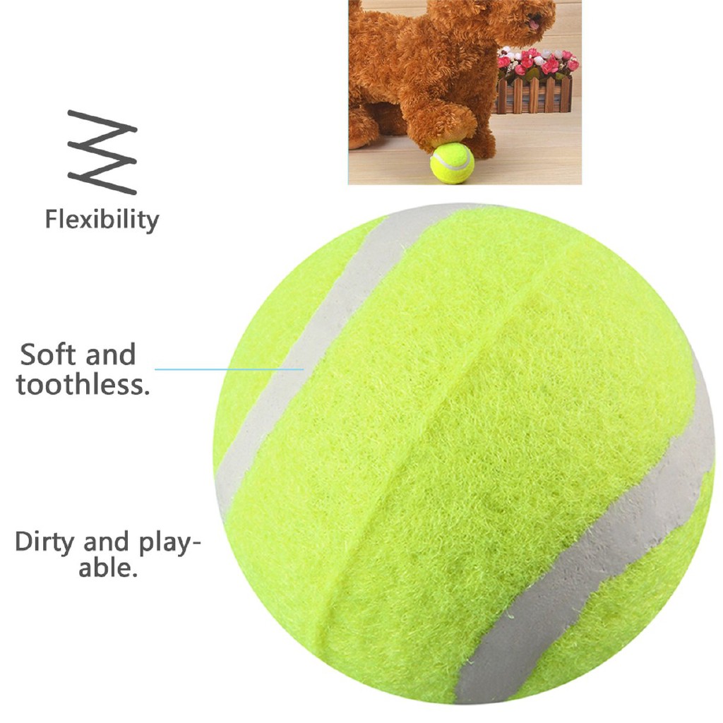 Tennis Ball Shape Toys For Dogs And Cats | Shopee Philippines