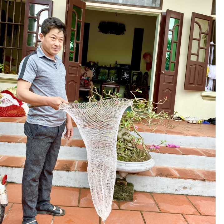 Fishing racket with bag containing all kinds of white fish fibers (no ...