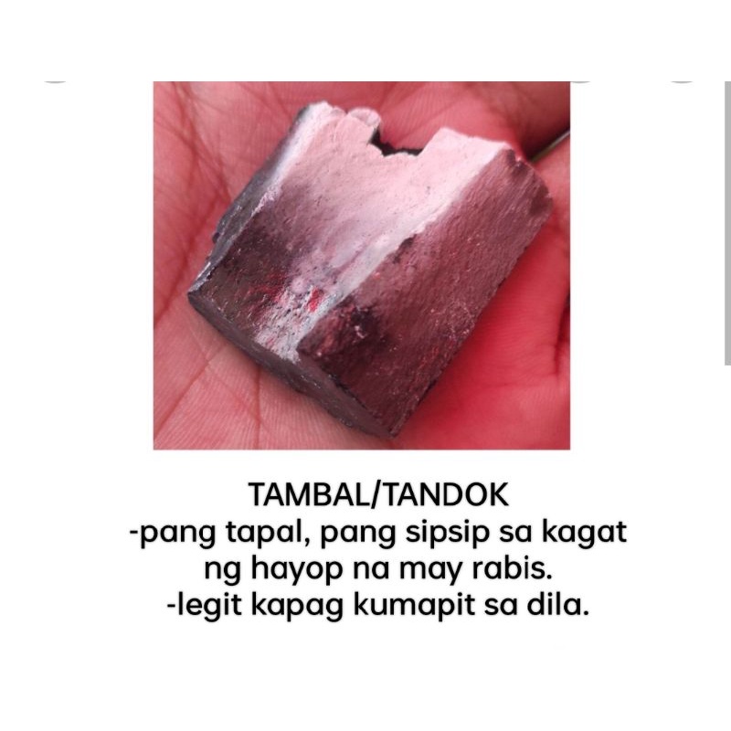 Tambal/Tandok(anti-rabies)nakapit sa dila ang legit | Shopee Philippines