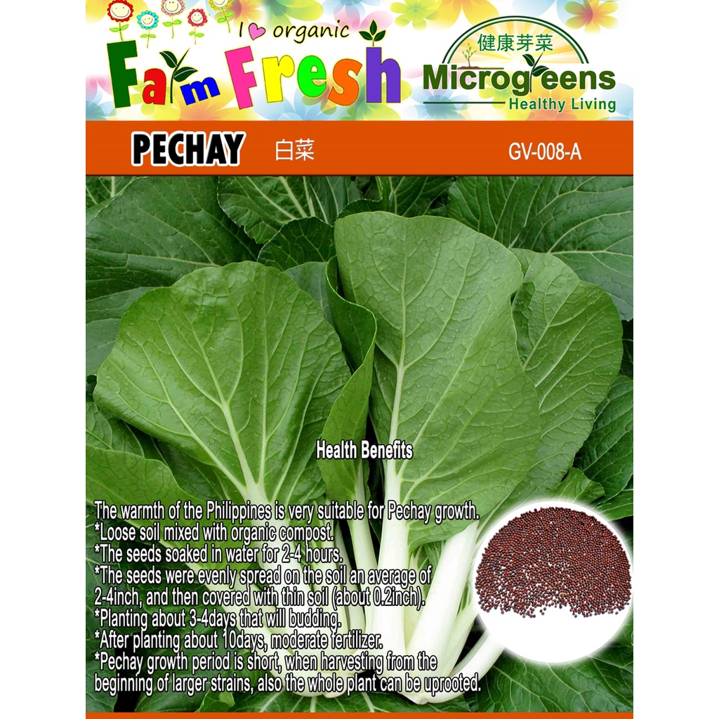 Green Garden Vegetable Seeds (Bigger Packed) (Native Pechay ) | Shopee ...