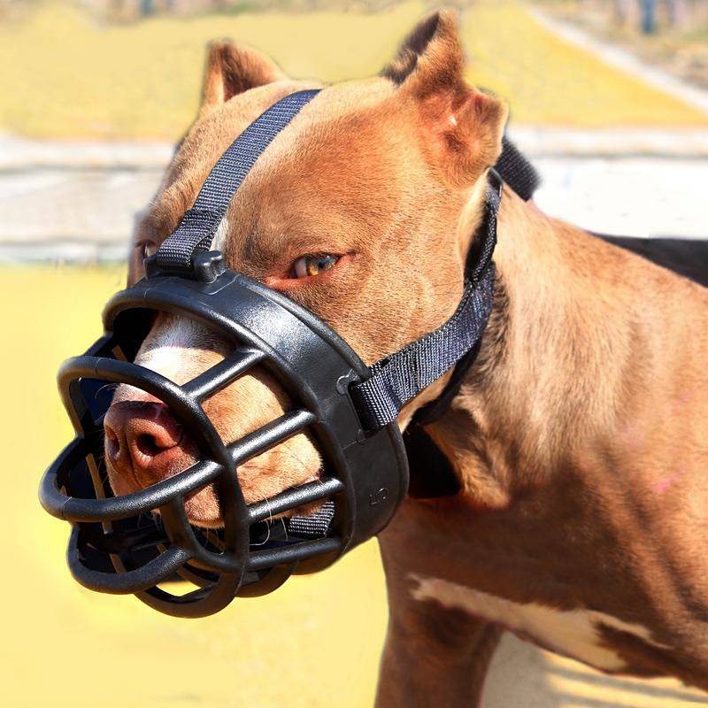 Bully Anti-Bite Silicone Dog Mouth Cover Dog Mask Small, Medium And ...