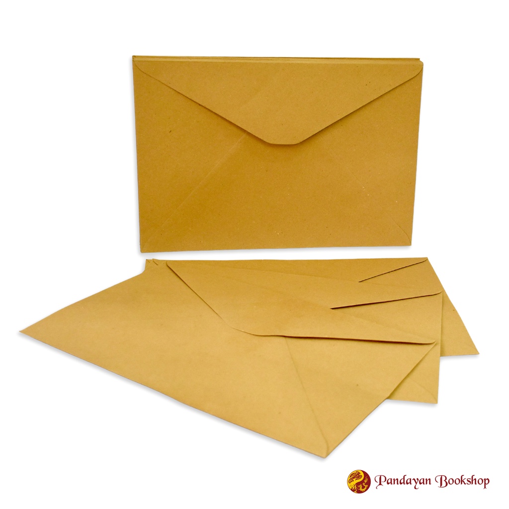 Brown Document Envelope 9"x12" and 10"x15" 200 lbs. 6s | Shopee Philippines