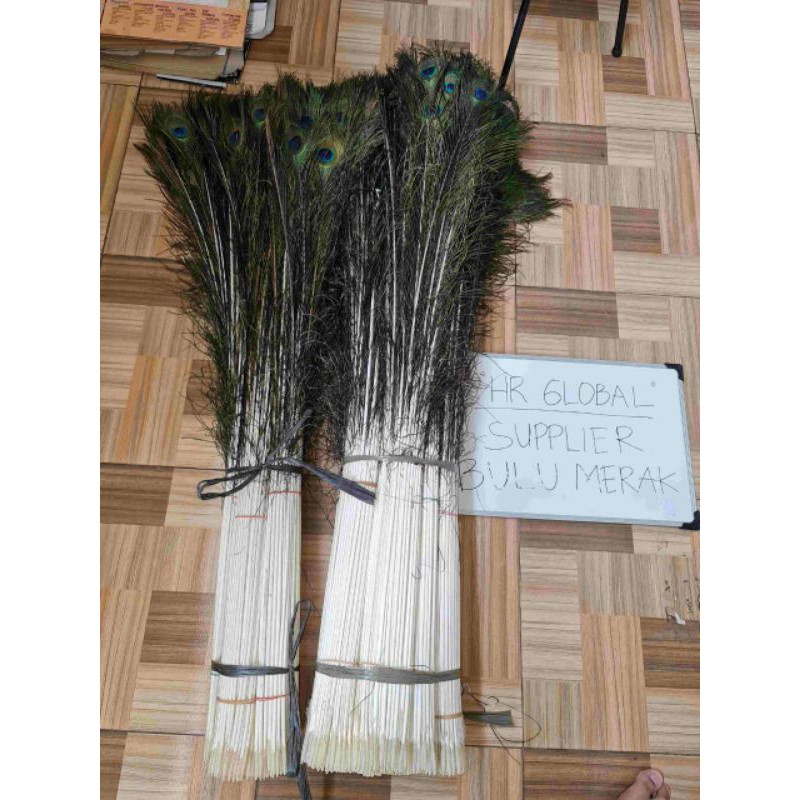 Peacock Feather Package 100-110cm 10pcs | Shopee Philippines