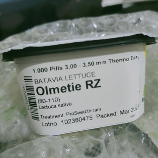 Olmetie Lettuce Seeds by Rijk Zwaan (repacked seeds 100 - 500 pills ...