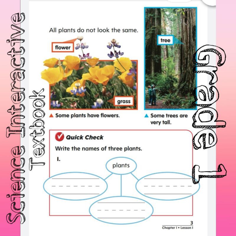 Science Interactive Textbook GRADE 1 ( 112 PAGES) Personalized Cover ...