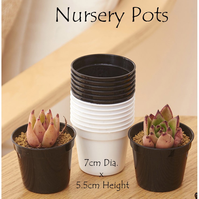 10 pieces Nursery Pot, Seedling Pot, Succulent and Cactus and Small ...