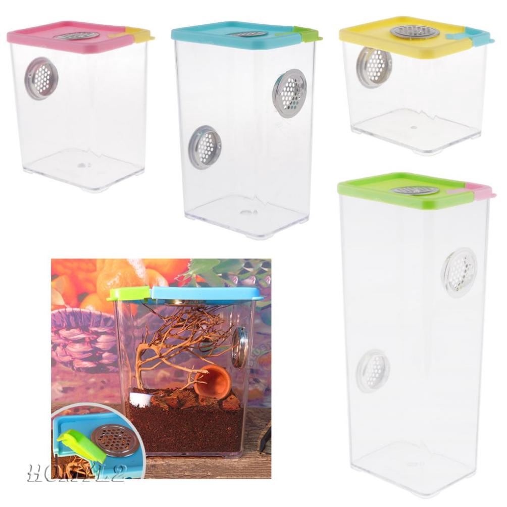 [HOMYL2] Beetle Hatchery Feeding Breeding Box Container | Shopee ...