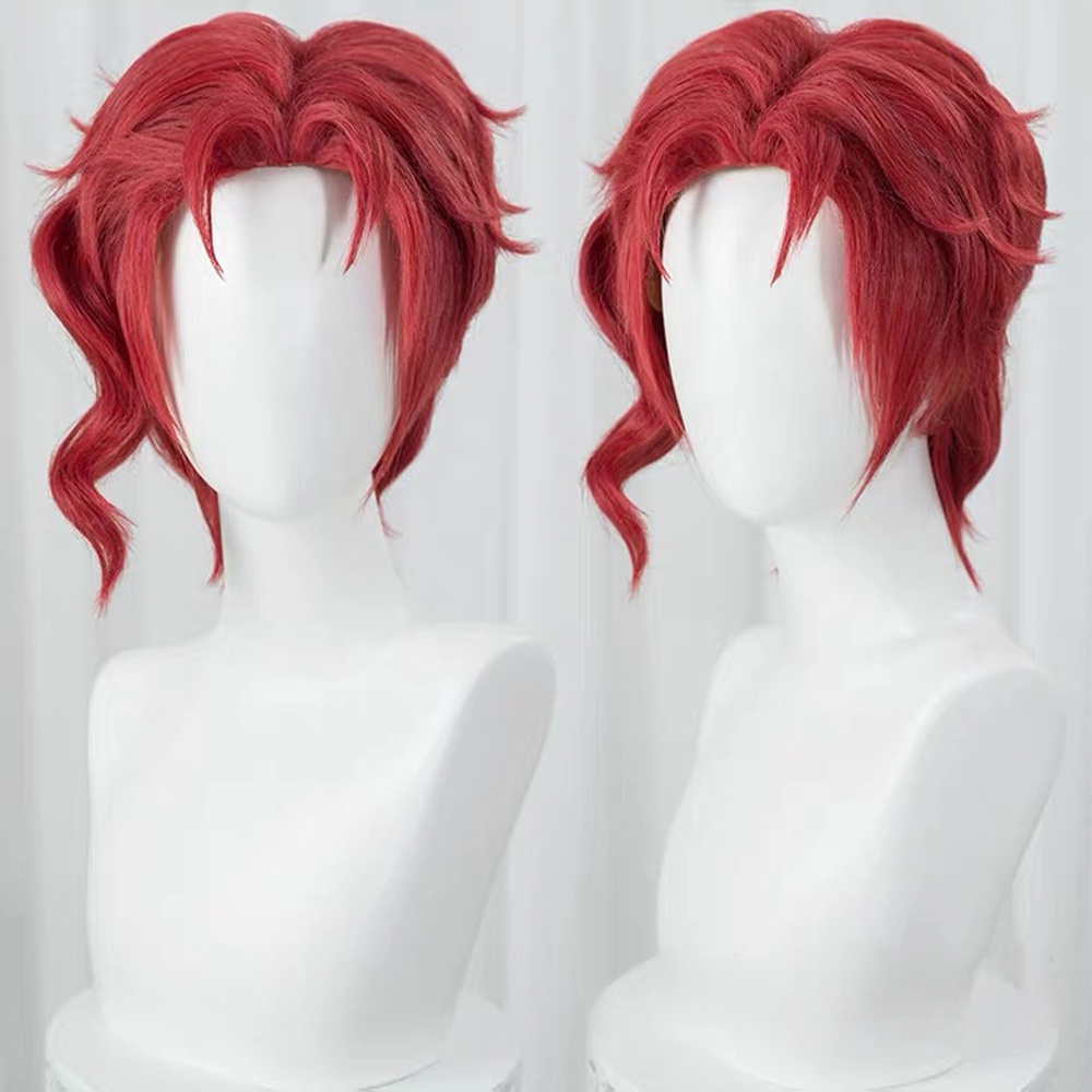 Noriaki Kakyoin Trish Una Dio Brando Joseph Kujo Jotaro Wig Jojo ...