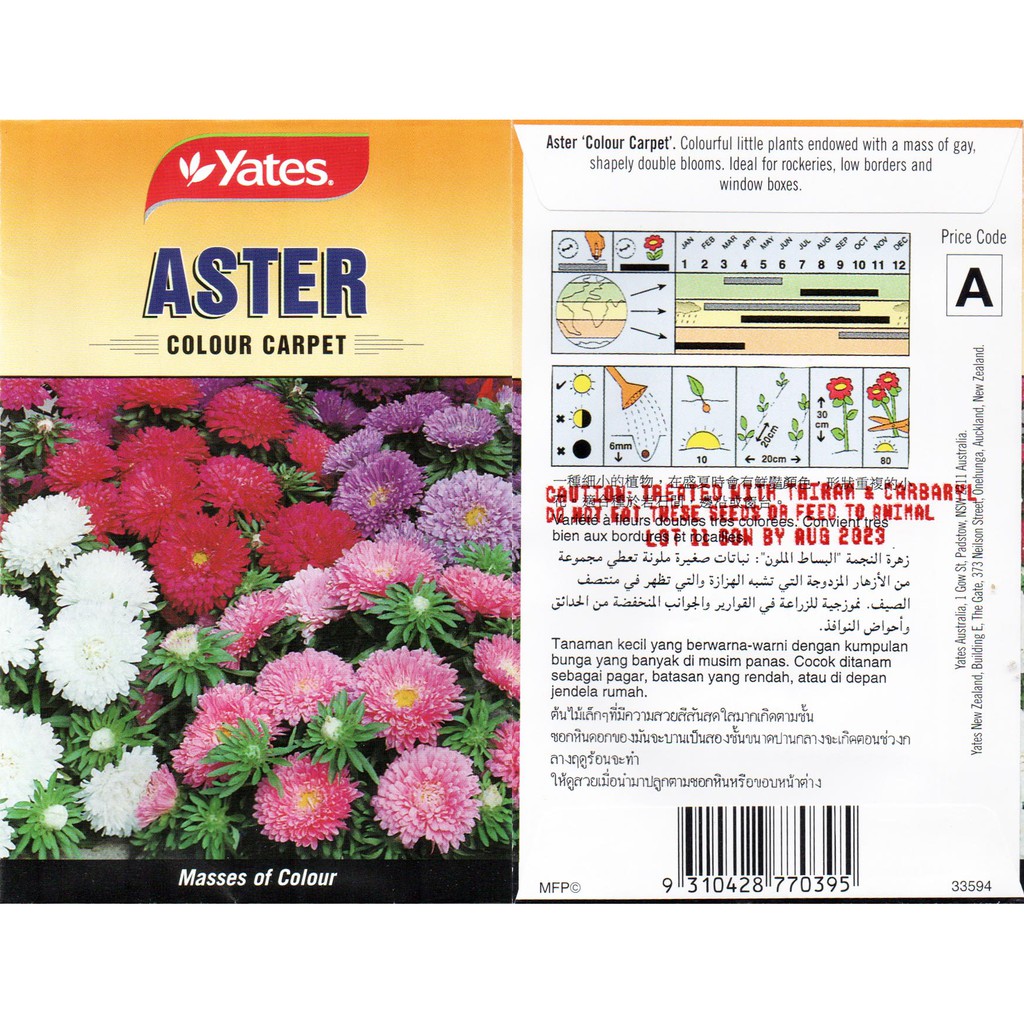 Yates YPF Seeds ASTER COLOUR CARPET (ORIGINAL PACKAGING) GDSFPH_S4 ...